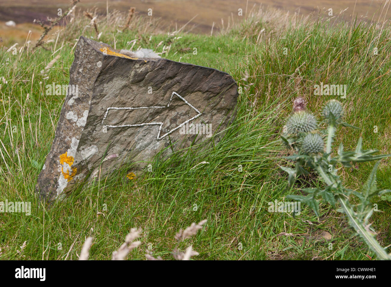 Arrow on stone, marking a footpath Stock Photo - Alamy
