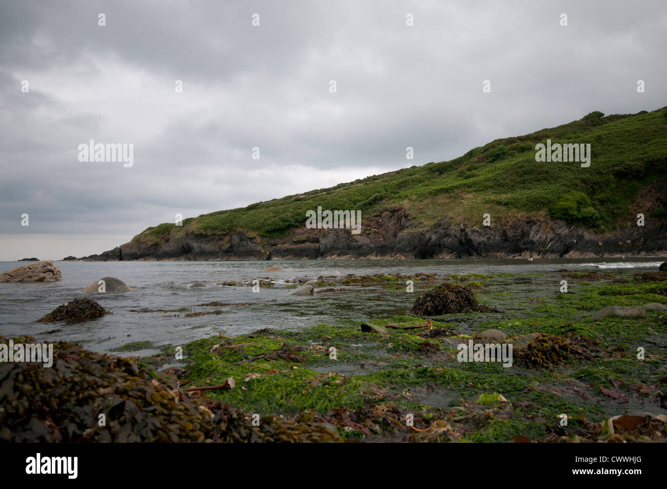 Trefdraeth hi-res stock photography and images - Alamy