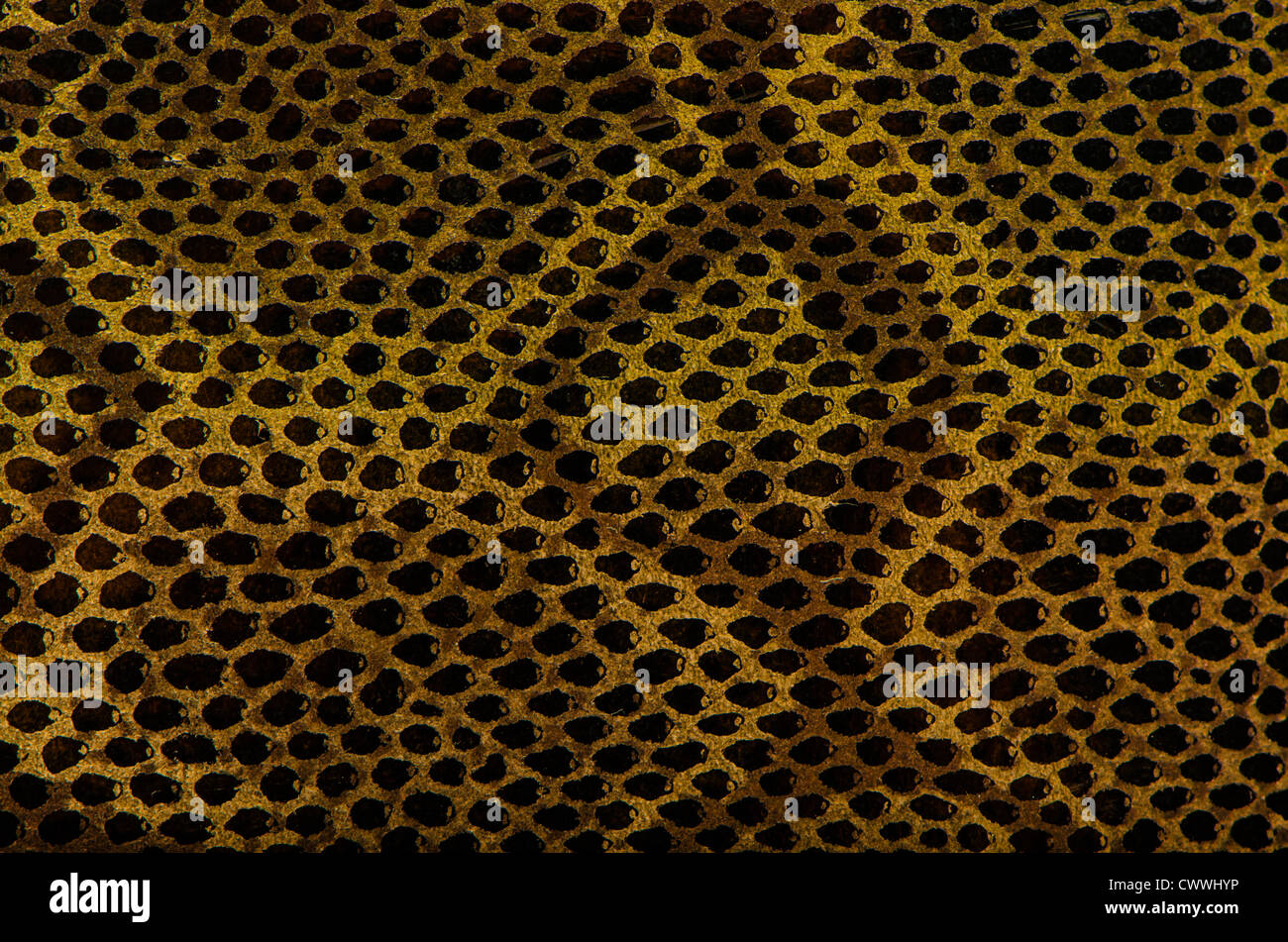 Closeup of snake Skin Leather Texture Stock Photo - Alamy