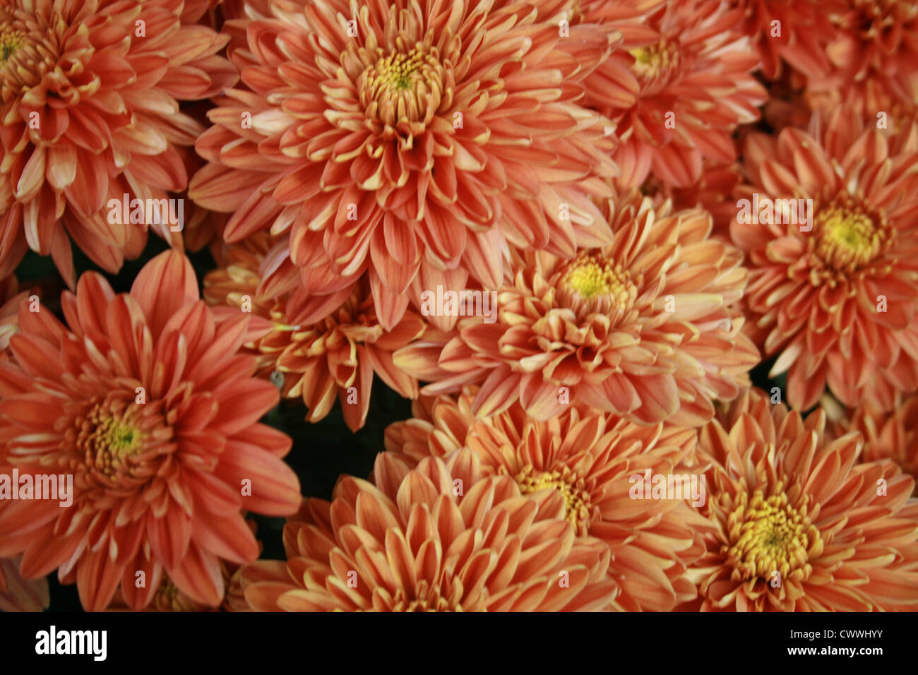 Impressionism Photography Hi res Stock Photography And Images Alamy