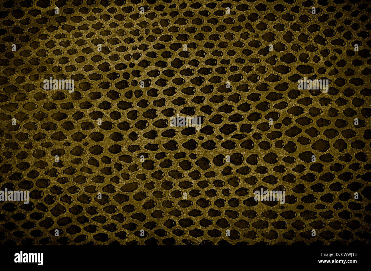 Closeup of snake Skin Leather Texture Stock Photo - Alamy