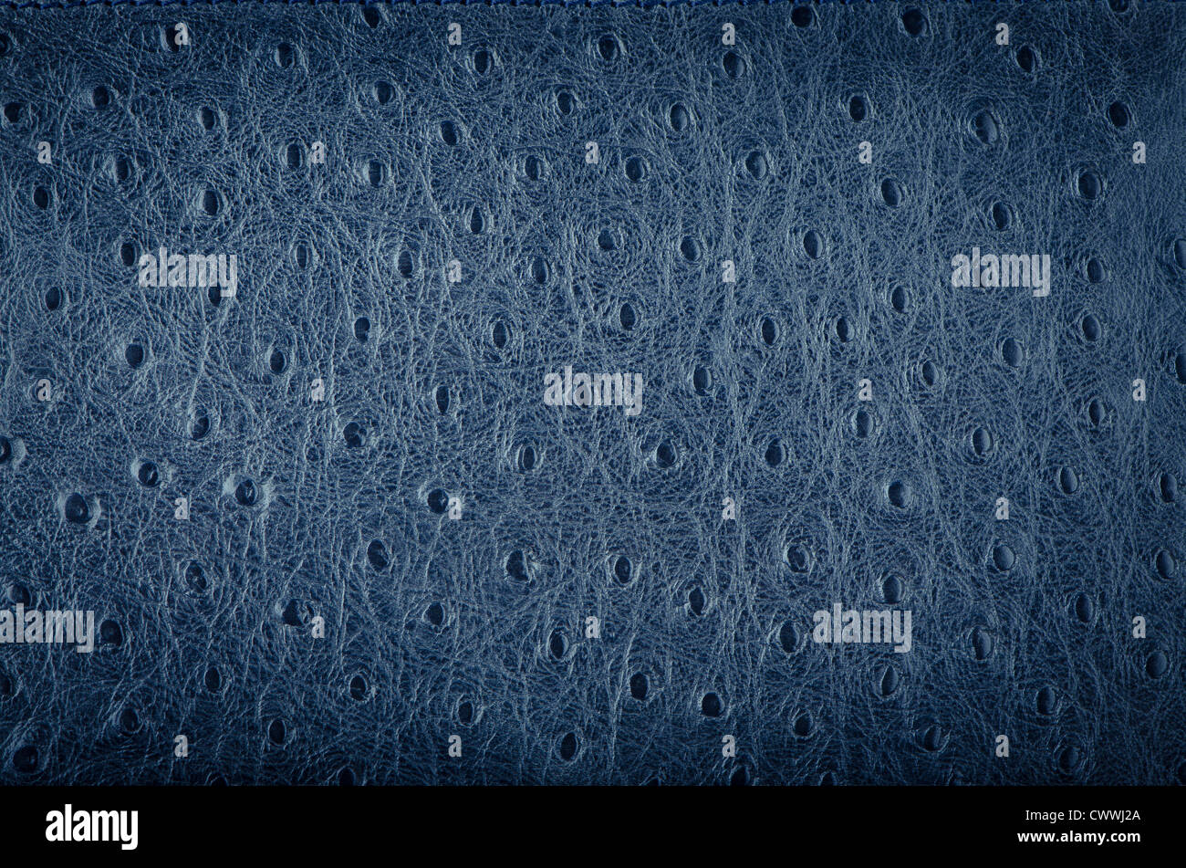 Blue leather texture closeup detailed background Stock Photo - Alamy