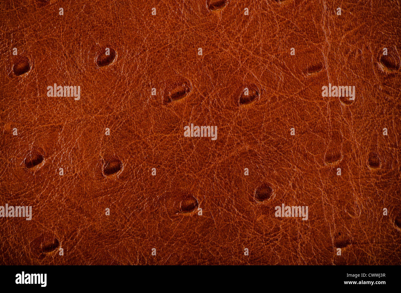 Natural brown leather texture. Close up Stock Photo - Alamy