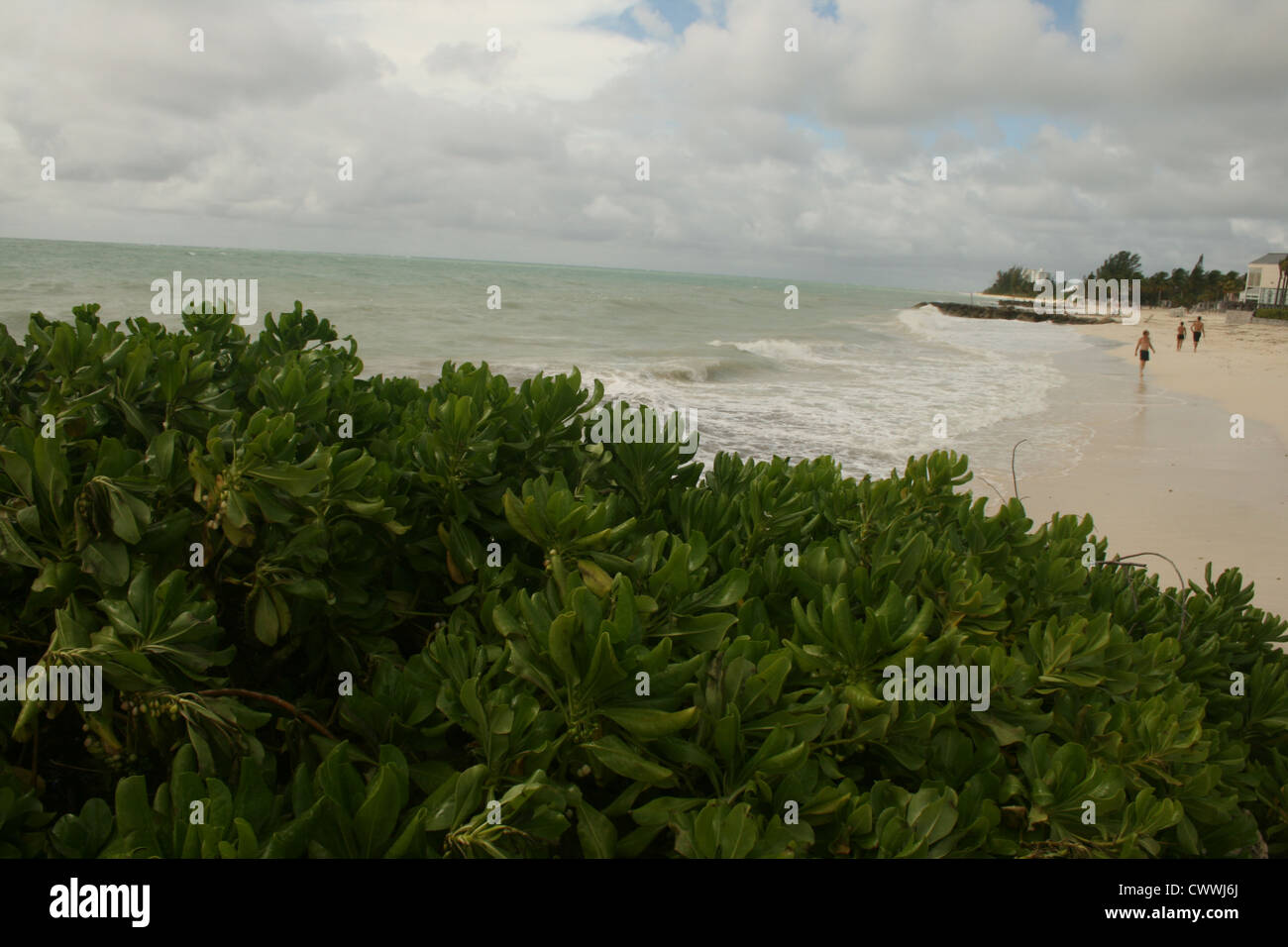 Grand Bahamas Our Lucaya bahama island resort beach freeport Stock ...