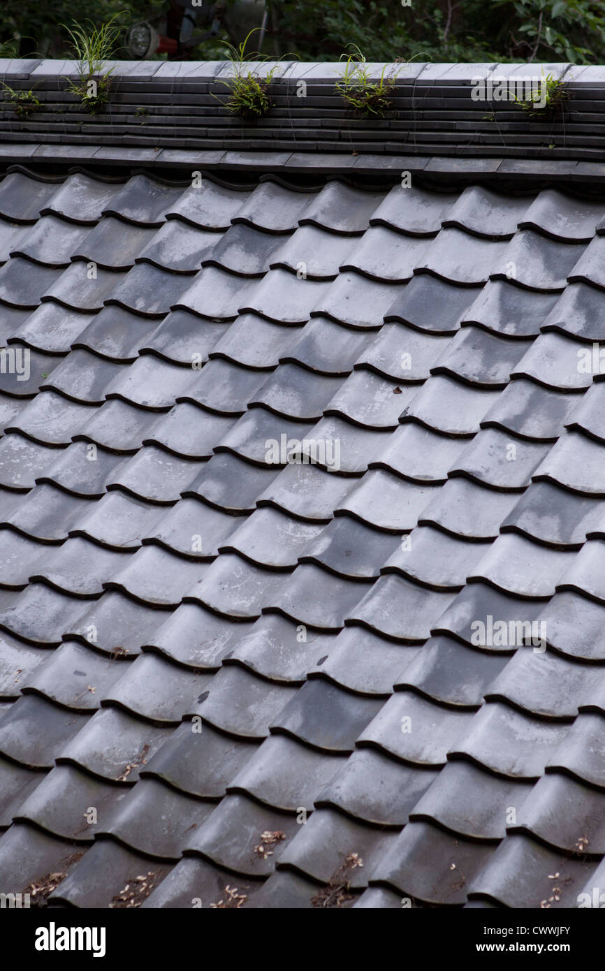 Tiled grave hi-res stock photography and images - Alamy
