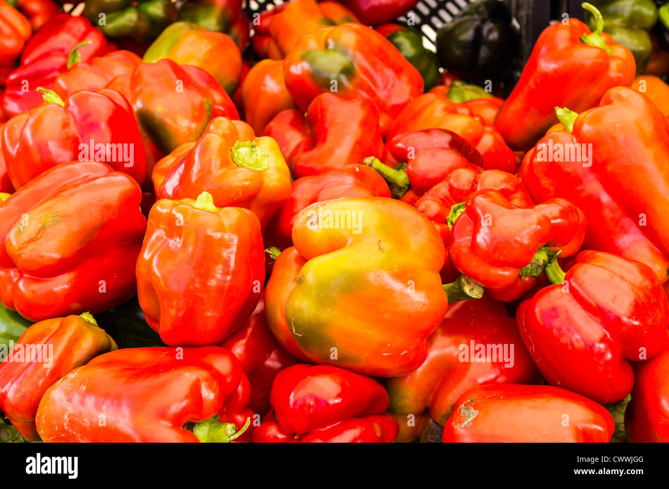 Fresh red bell peppers on display at the market Stock Photo - Alamy
