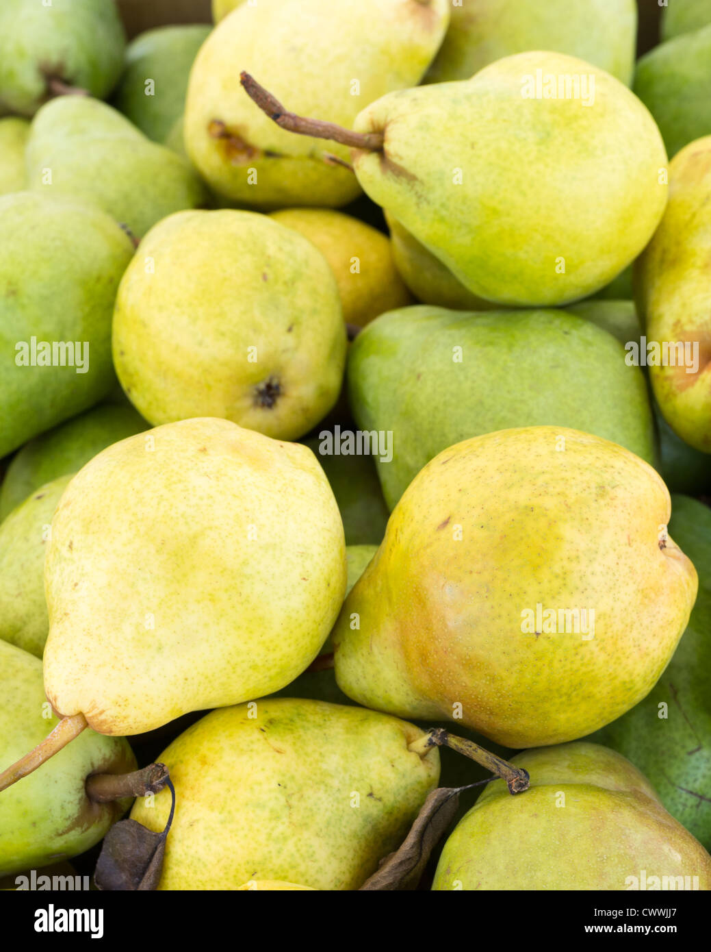 Bartlett pears hi-res stock photography and images - Alamy