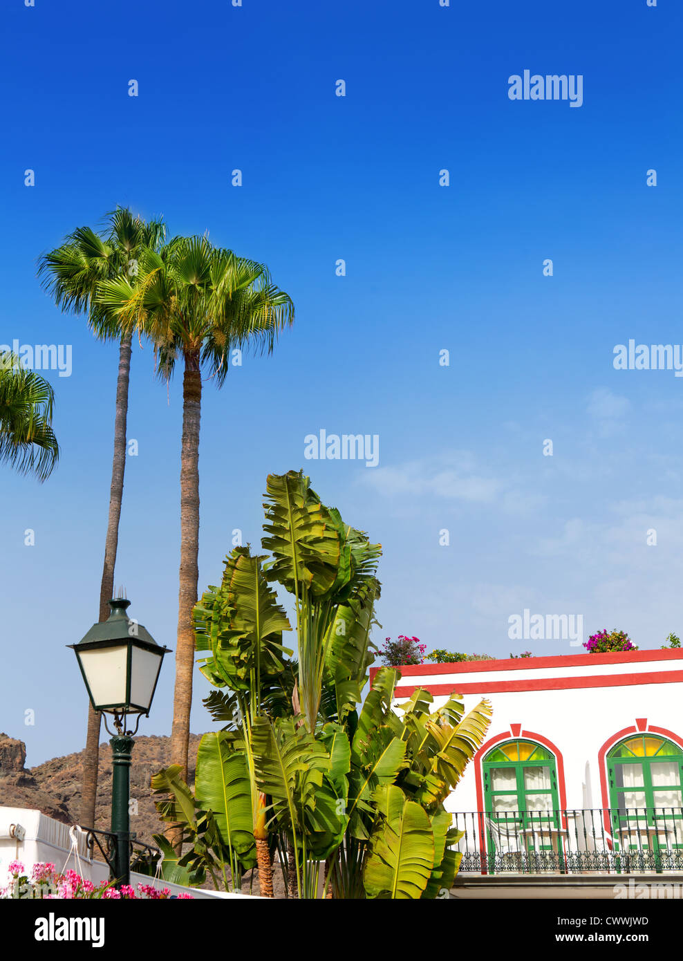 Gran canaria Puerto de Mogan white houses colonial in canary Islands ...