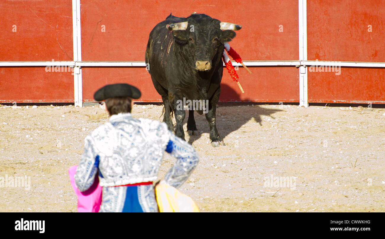 Torero and bull in bullfight. Madrid, Spain Stock Photo - Alamy