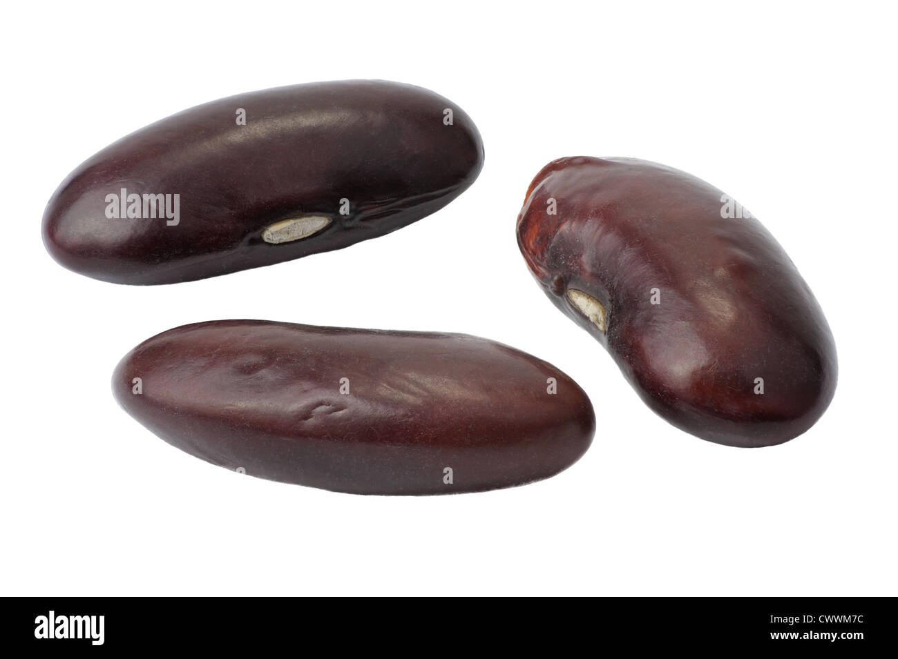 Seed harvesting Cut Out Stock Images & Pictures - Alamy