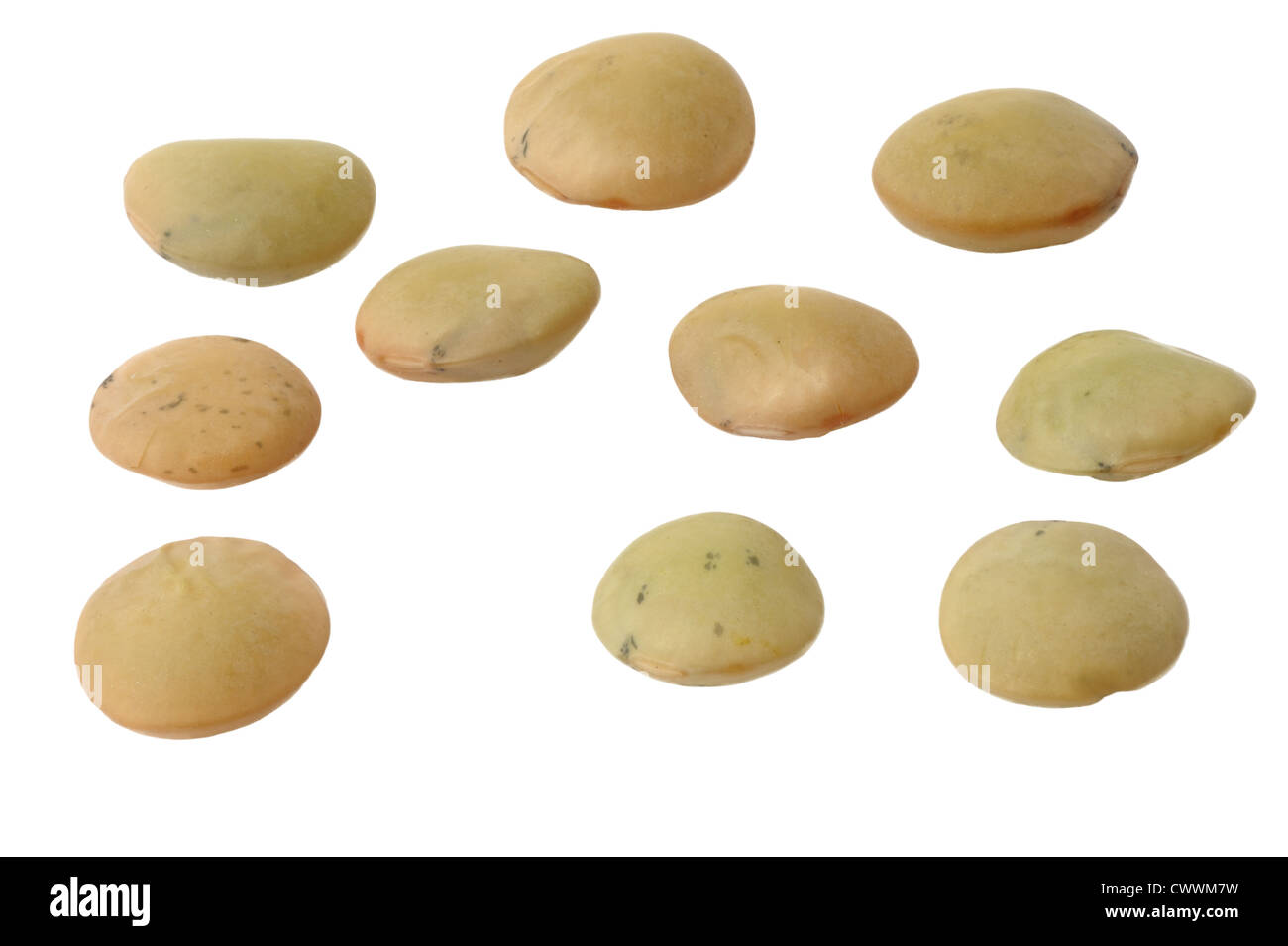 Seeds of lentils close up on a white background Stock Photo - Alamy