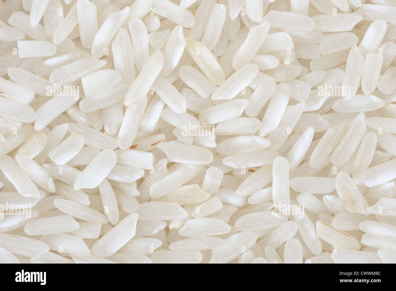 Grains of rice close up Stock Photo - Alamy