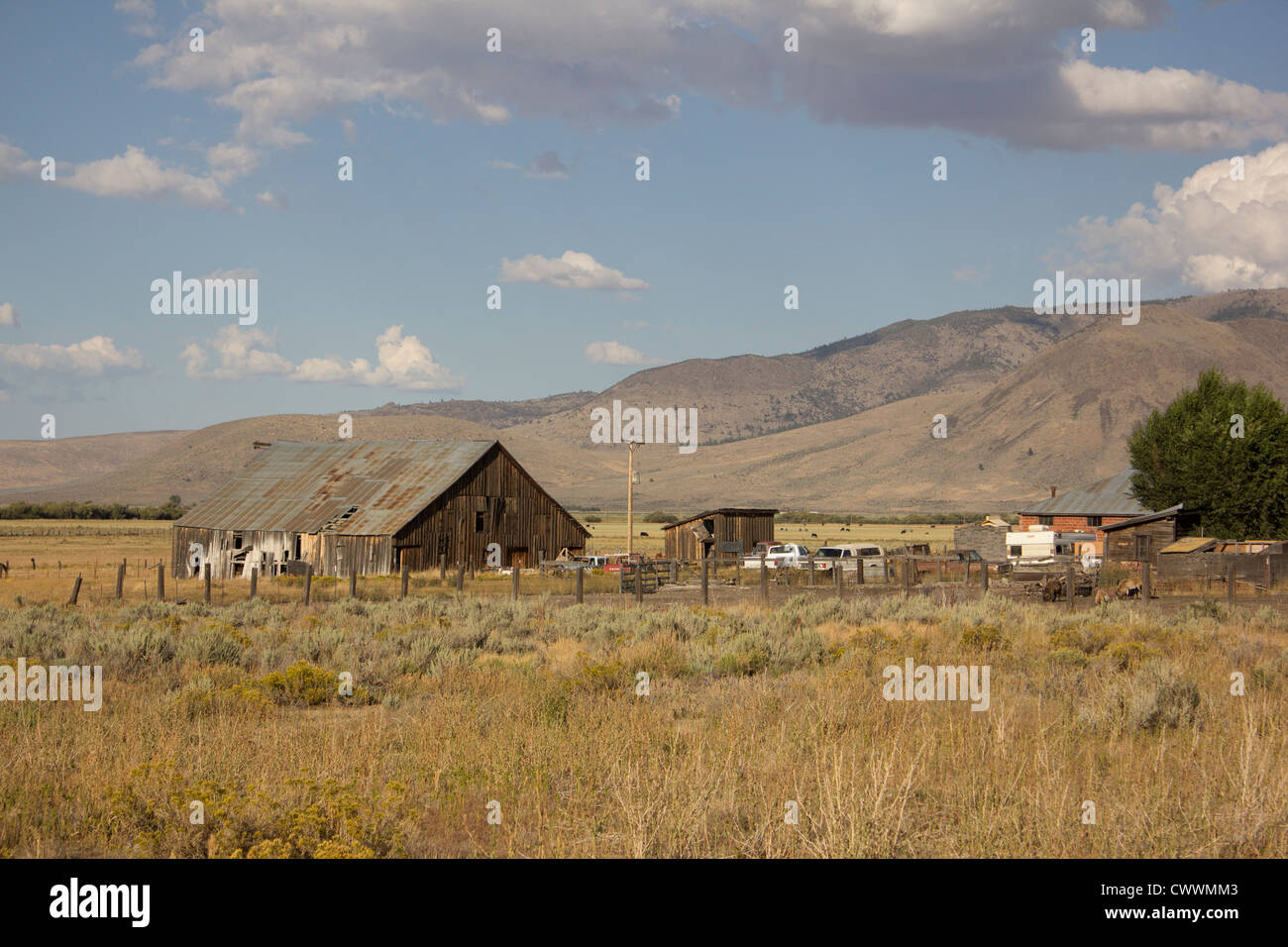 Old barn in a very large field - Loyalton California Stock Photo - Alamy
