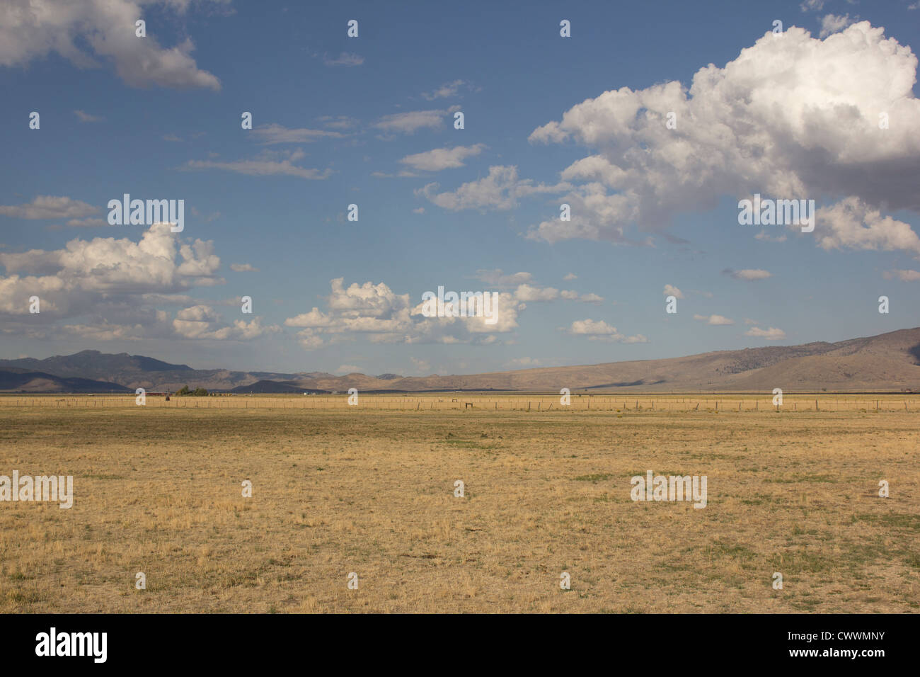 Large open field with clouds in the sky Stock Photo - Alamy