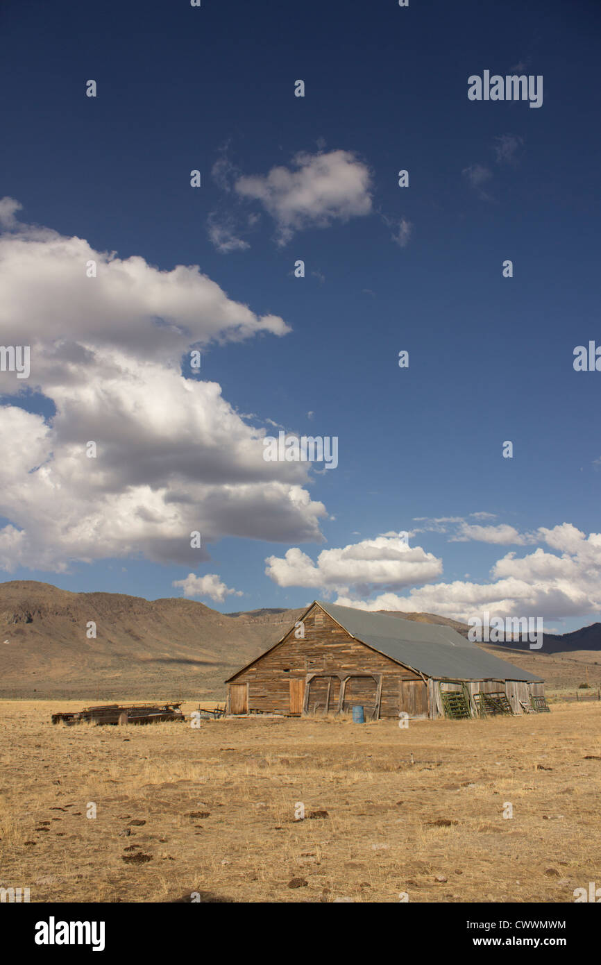 Old barn in a very large field - Loyalton California USA Stock Photo ...