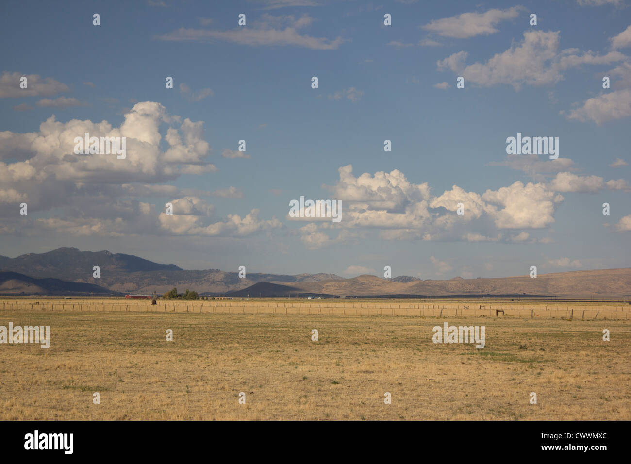 Large open field with clouds in the sky Stock Photo - Alamy