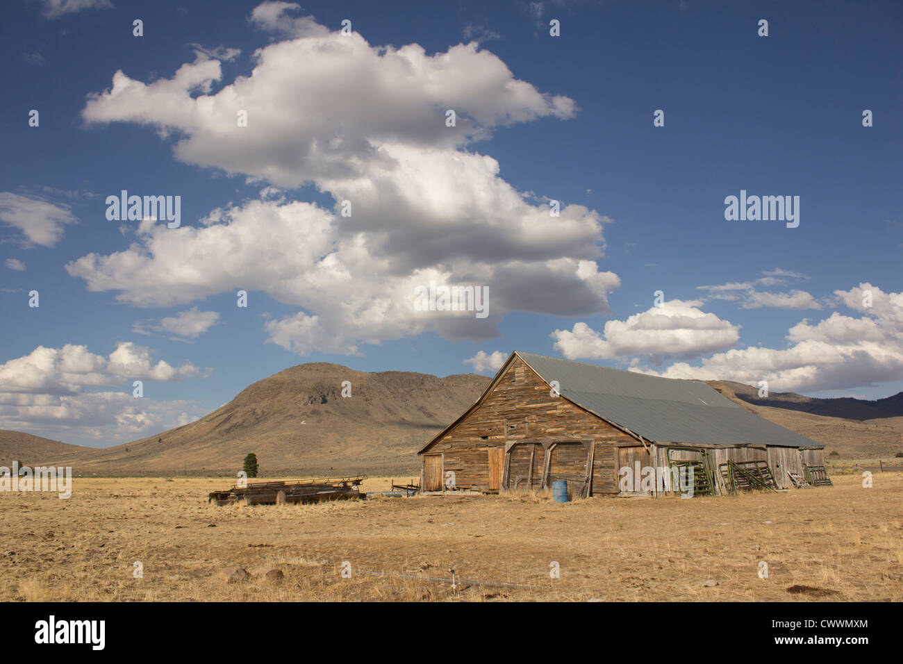 Old barn in a very large field - Loyalton California USA Stock Photo ...