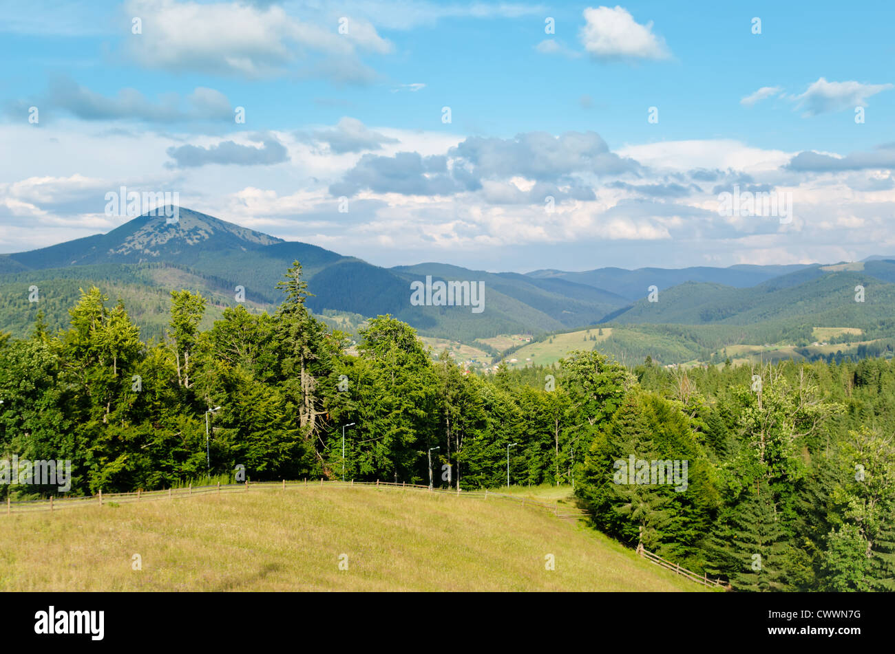 Beautiful green mountain landscape with trees in Carpathians Stock ...