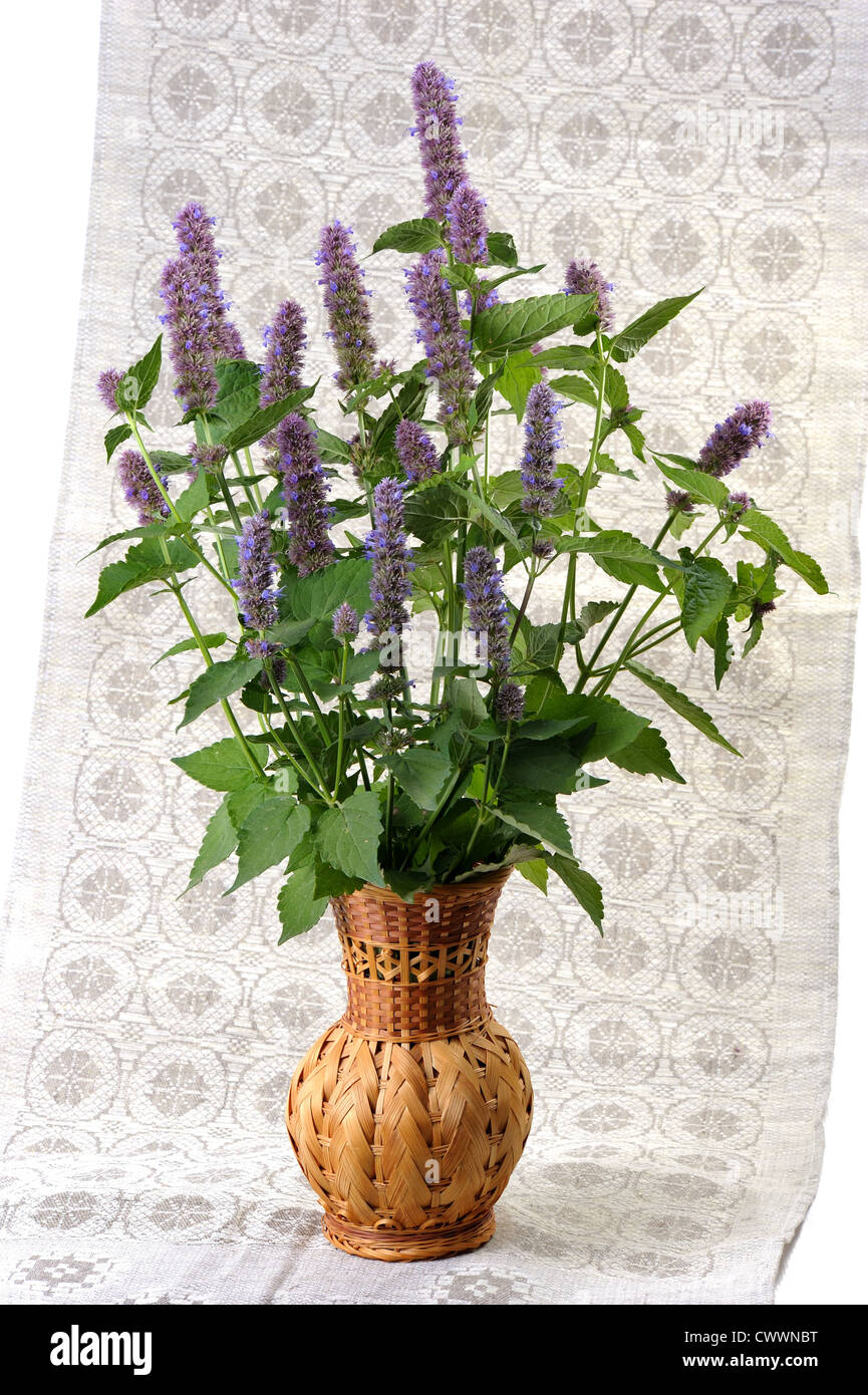 A bunch of stems with flowers of aromatic and medicinal plants Korean ...