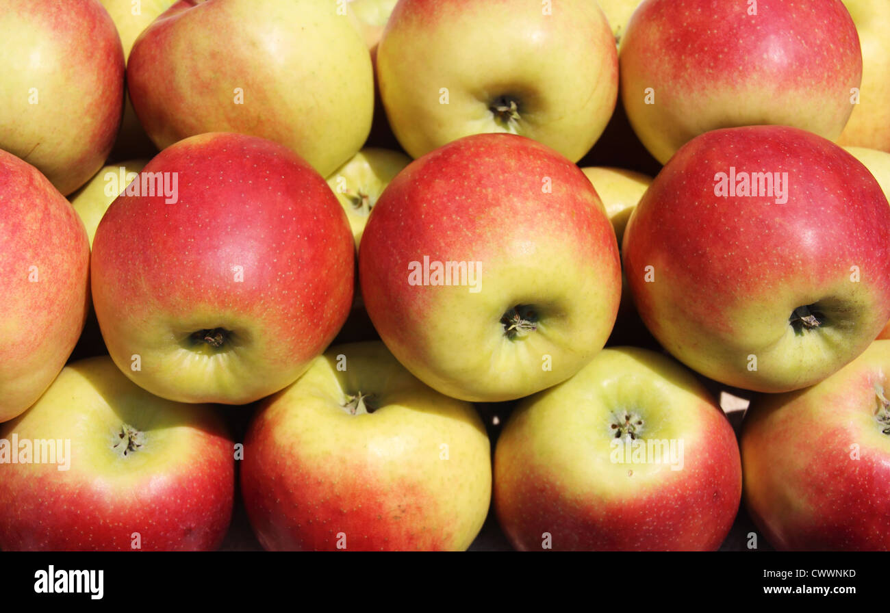 Idared apples hi-res stock photography and images - Alamy