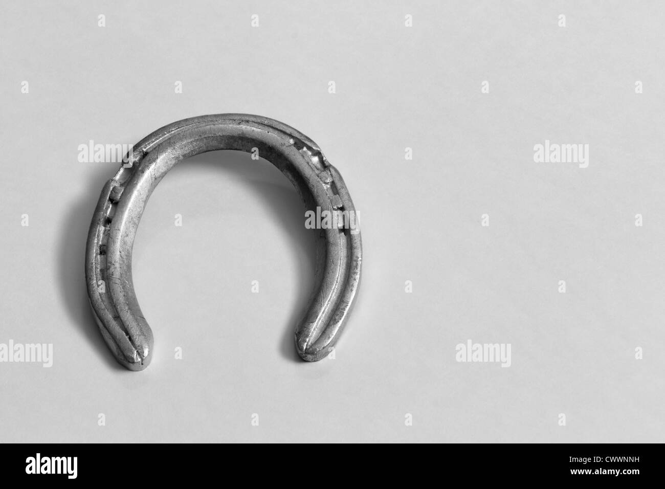 Good luck horse Black and White Stock Photos & Images - Alamy