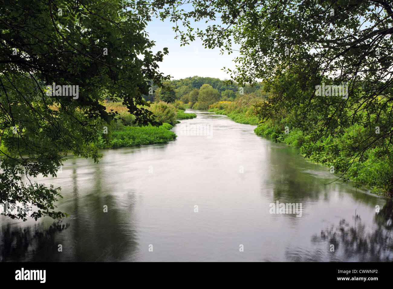 The River Itchen in Hampshire framed by overhanging trees Stock Photo ...