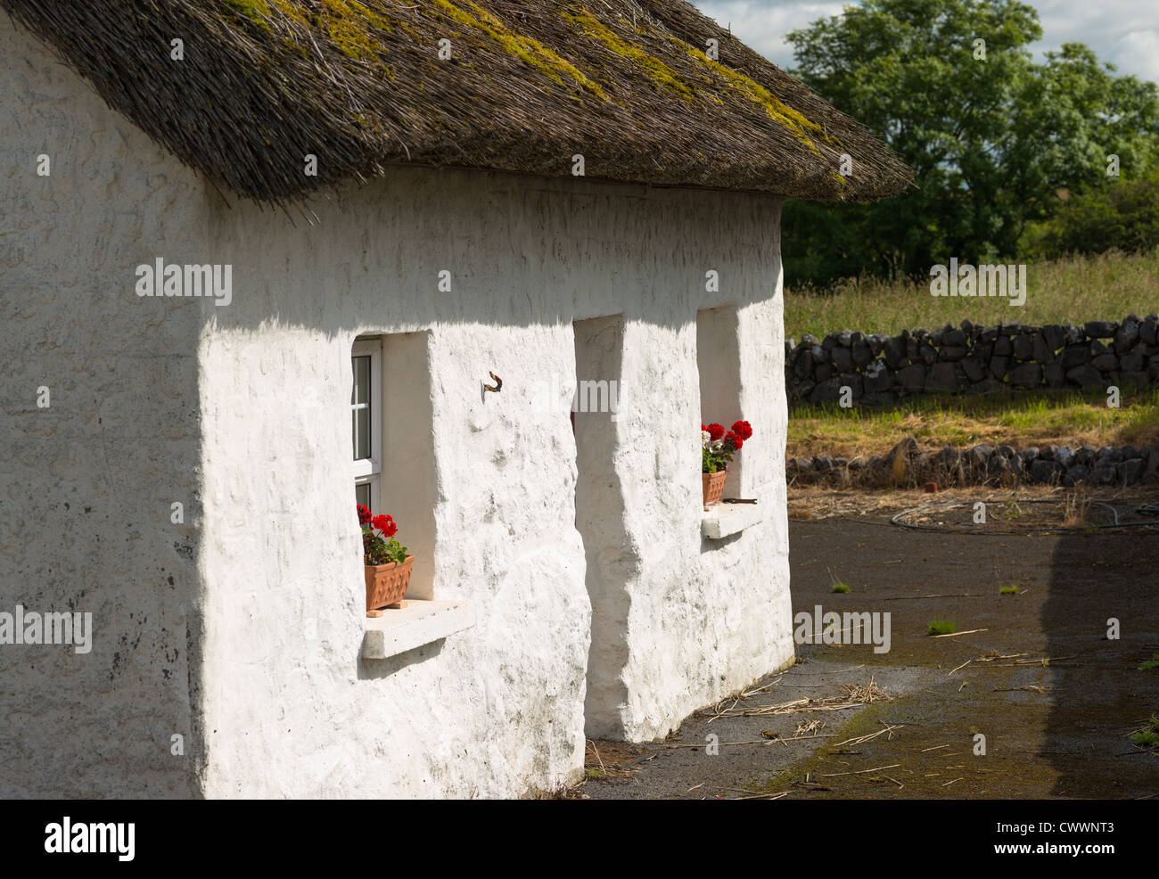 Rustic thatched cottage near Kinvara village, County Galway, Ireland ...