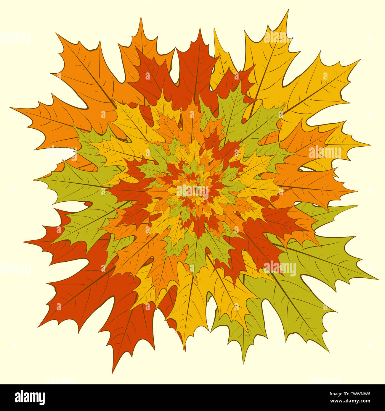 Graphic vector drawing - a maple leaves bouquet. EPS10 vector Stock ...