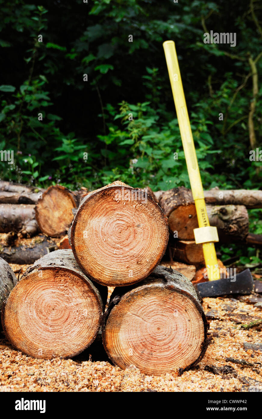 Cut logs stacked for firewood processing, Wales Stock Photo - Alamy