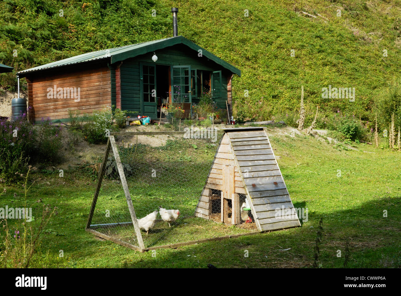 Poultry unit countryside hi-res stock photography and images - Alamy