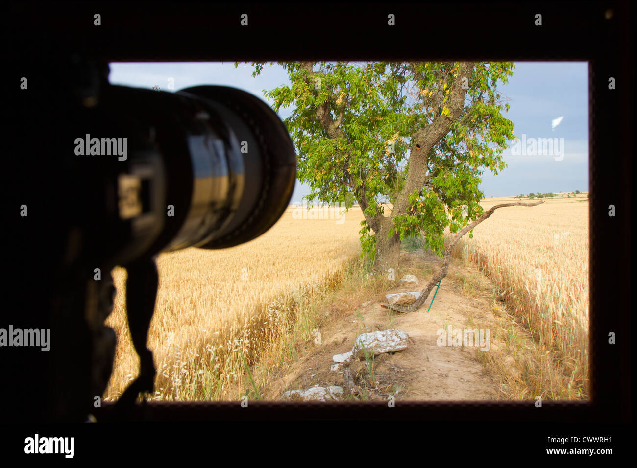 Bird Hide; Photo Logistics; taking a photograph; Spain; summer Stock ...