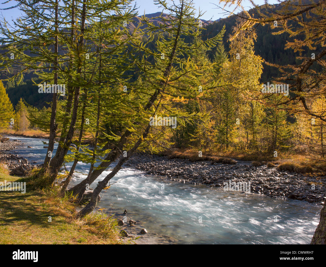 Stream running through rural landscape Stock Photo - Alamy