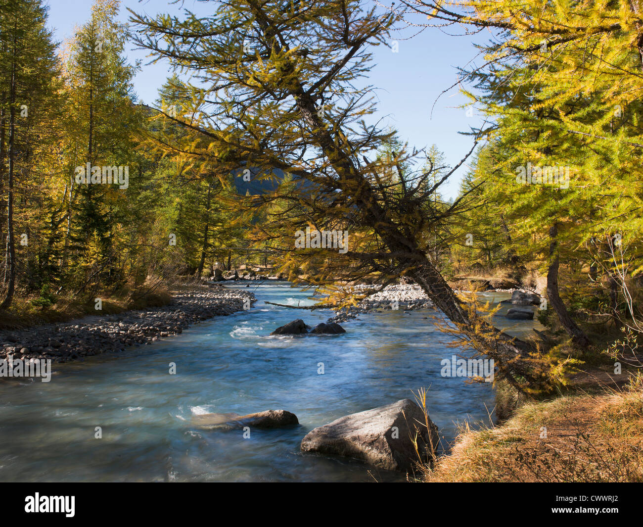 Stream running through woodland in autumn hi-res stock photography and ...