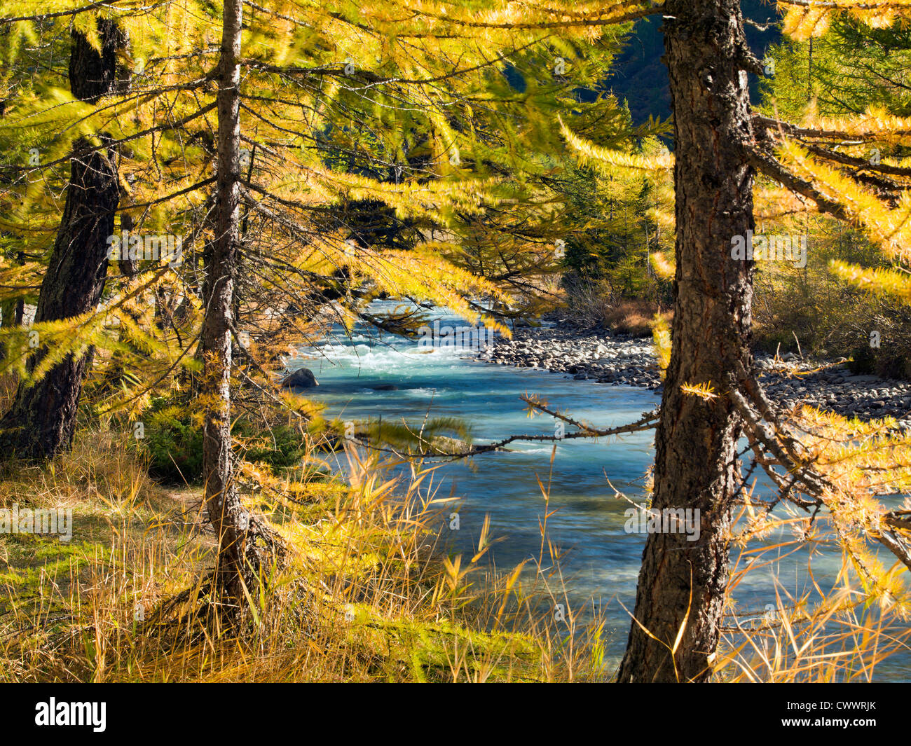 Stream running through rural landscape Stock Photo - Alamy