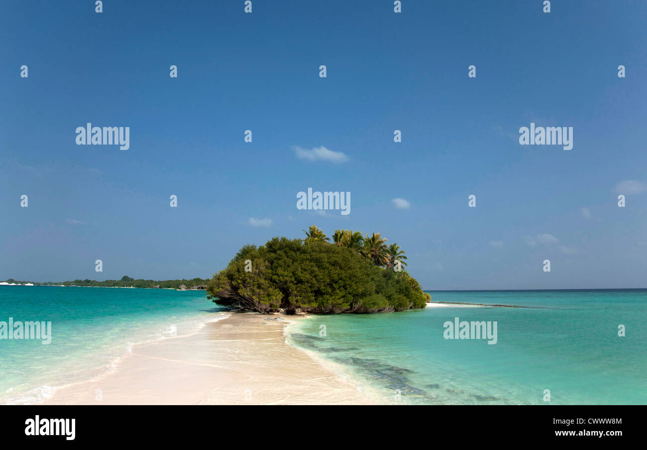 Sandbar and forested tropical island Stock Photo - Alamy
