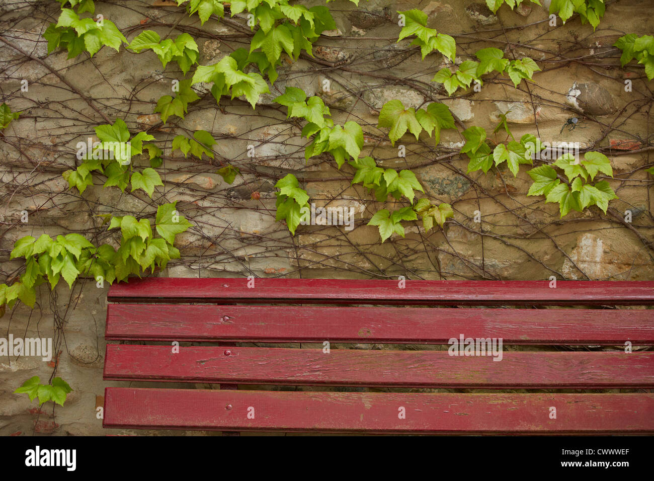 Red wooden bench with crawling vines Stock Photo - Alamy