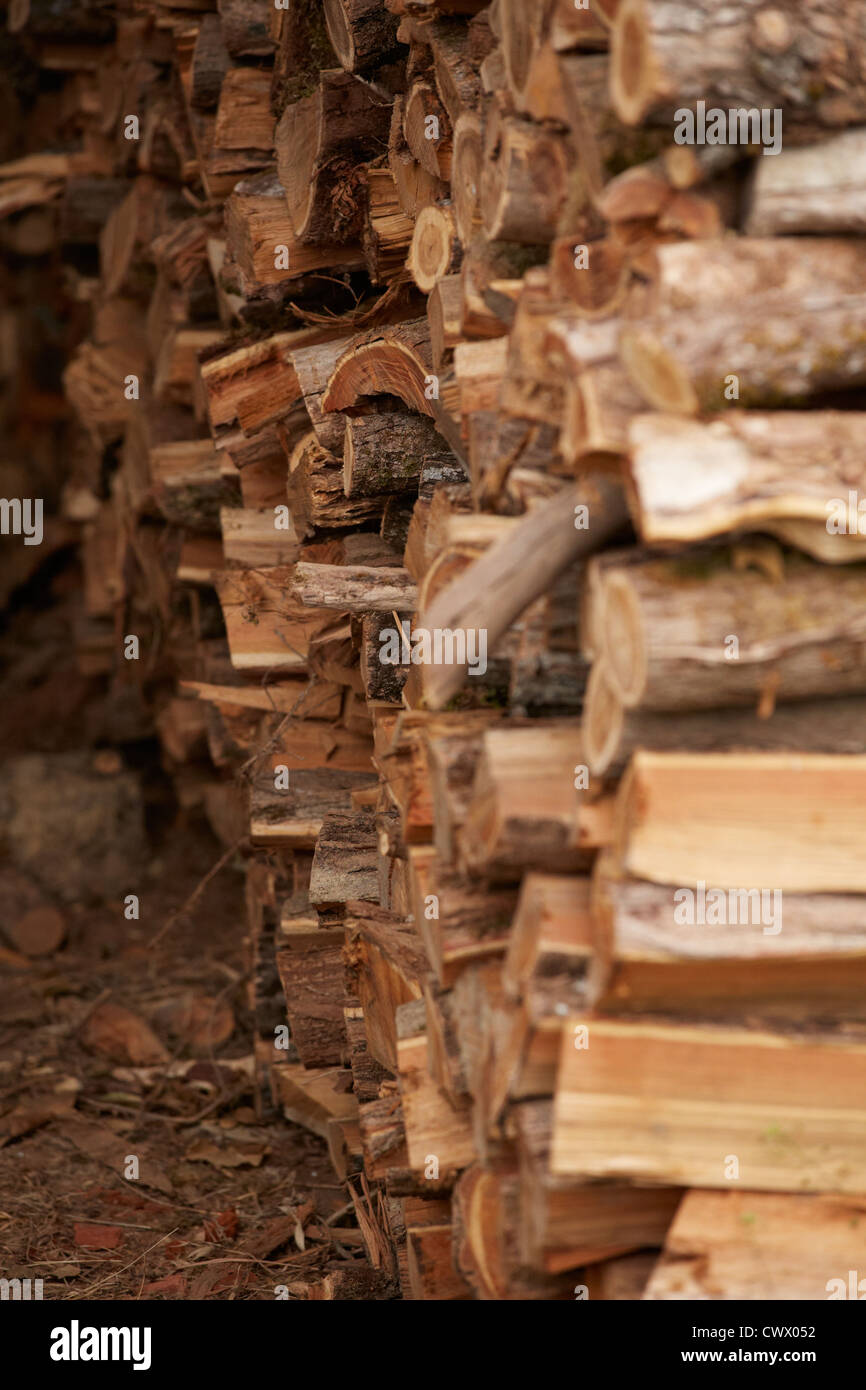 Pile of Logs Stock Photo - Alamy