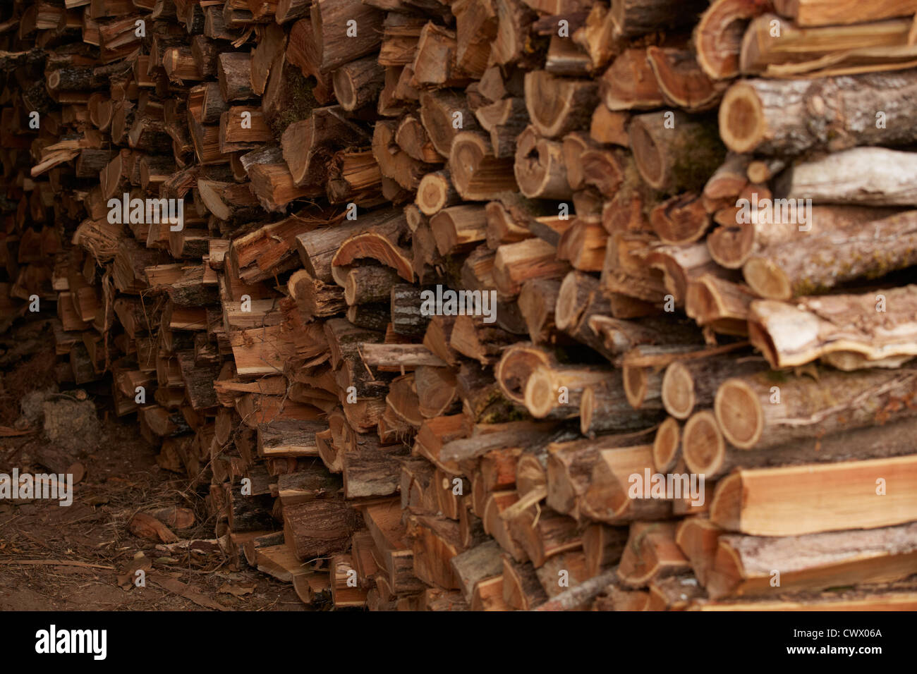 Pile of Logs Stock Photo - Alamy