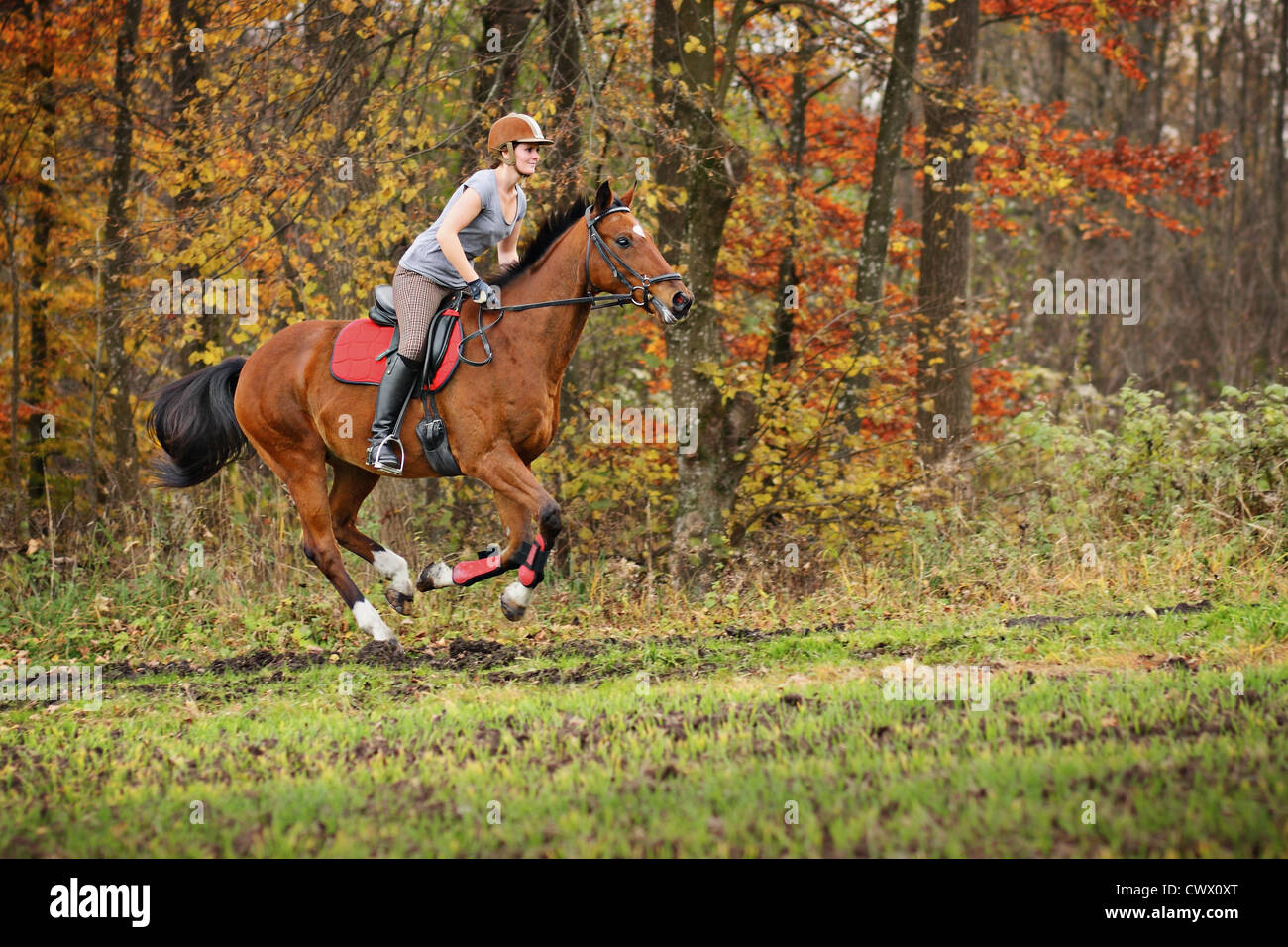 Woman horse riding clothes hi-res stock photography and images - Alamy