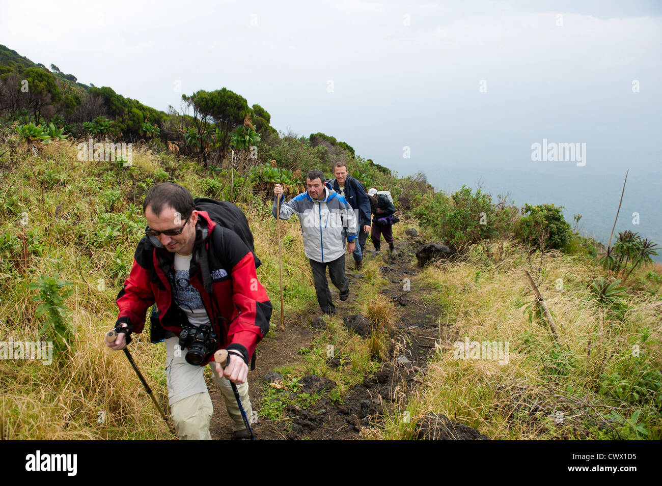 Hikers climbing Nyiragongo Volcano, Virunga National Park, DR Congo ...