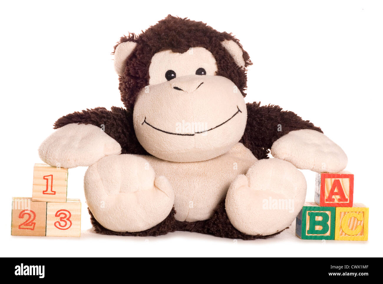 soft toy monkey with learning blocks studio cutout Stock Photo - Alamy