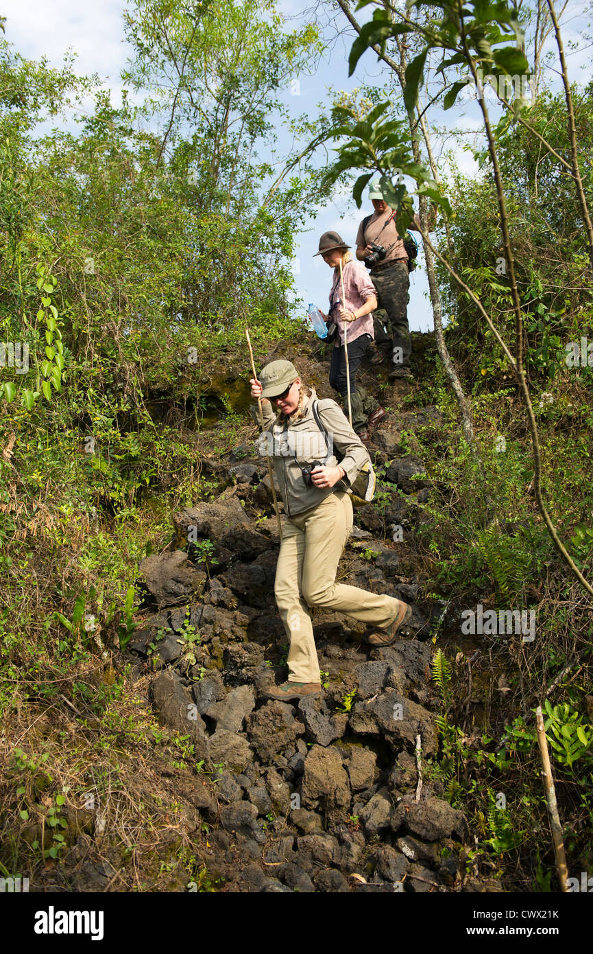 Dr congo tonga hi-res stock photography and images - Alamy