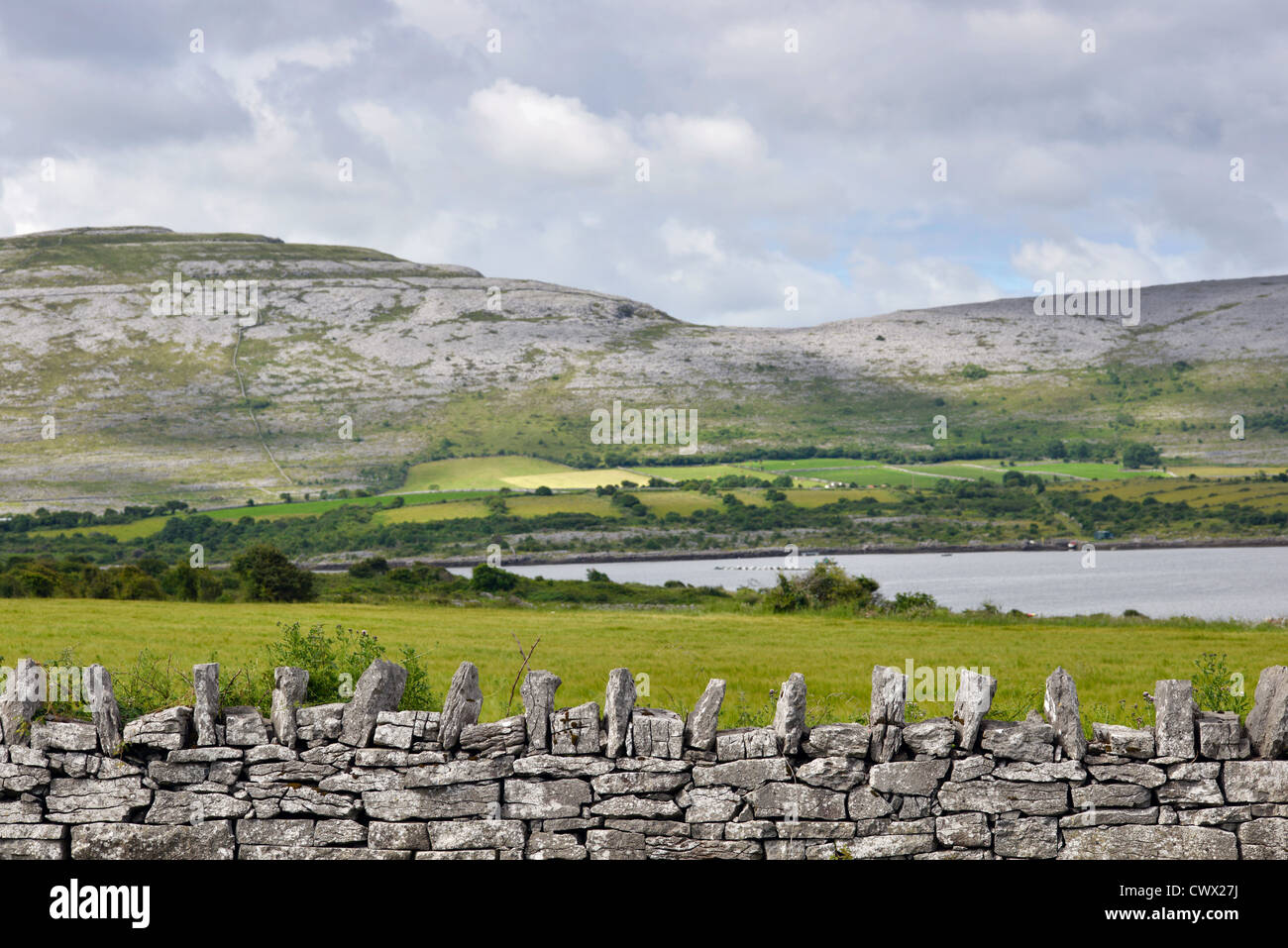 Irish dry stone wall with the unusual hills of 'the Burren' region of ...