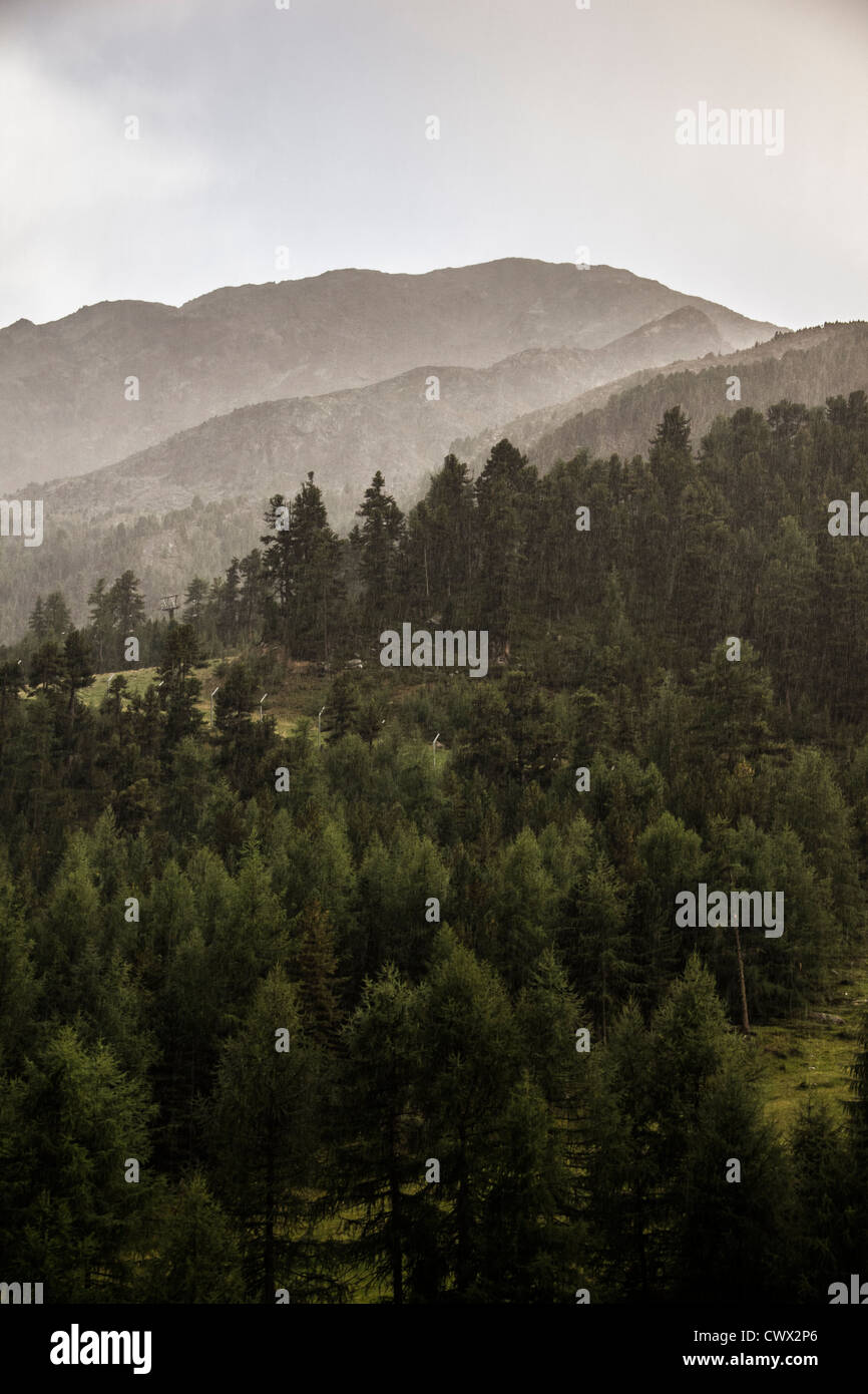 Forest mountain italian alps High Resolution Stock Photography and ...