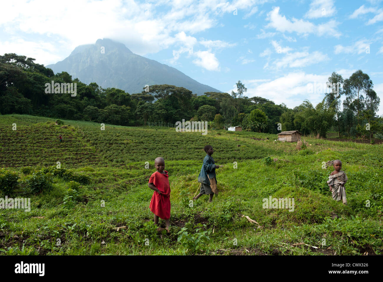 Congo children farm hi-res stock photography and images - Alamy