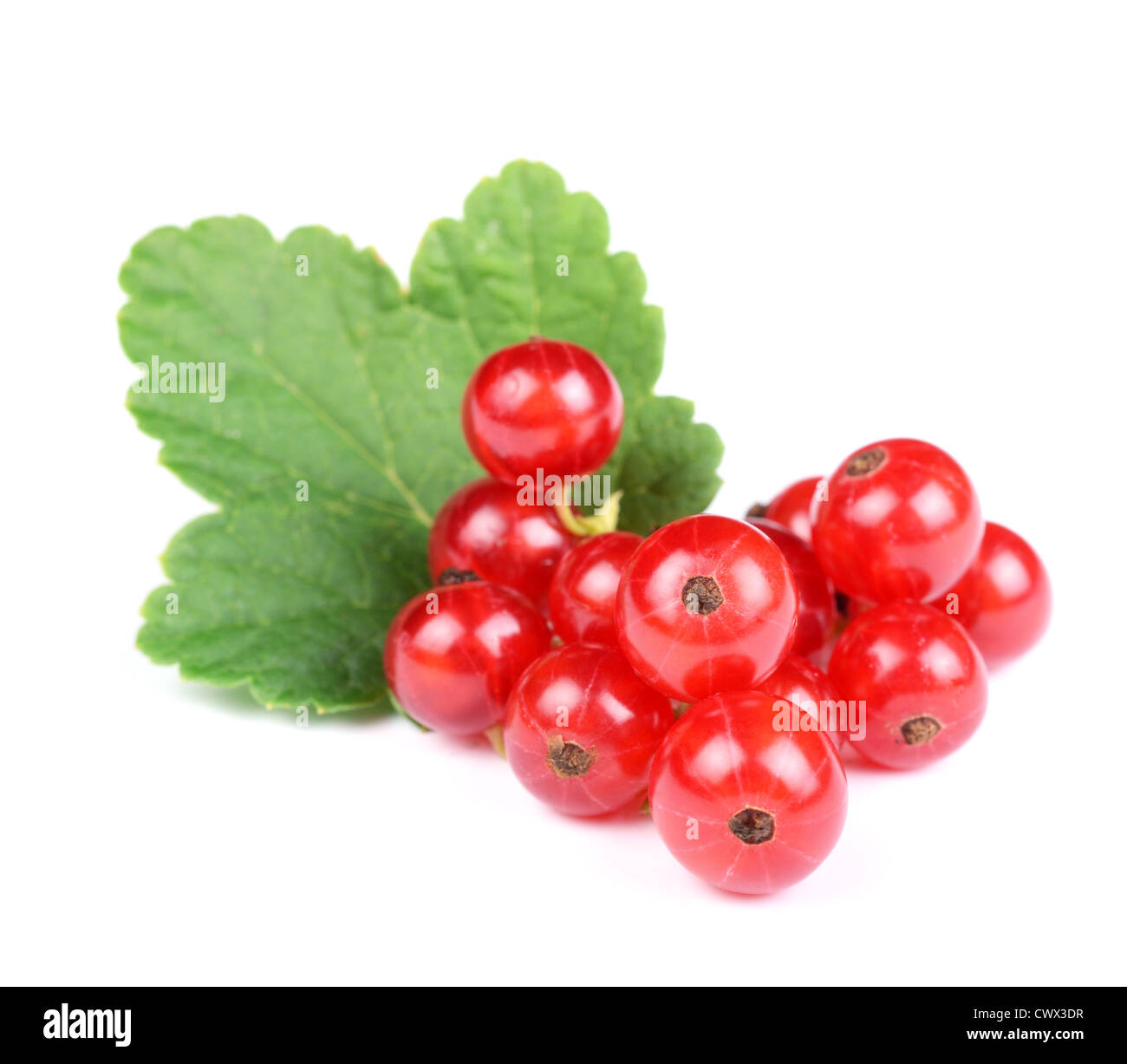 Heap of Fresh Red Currant with Green Leaf Isolated on White Background ...