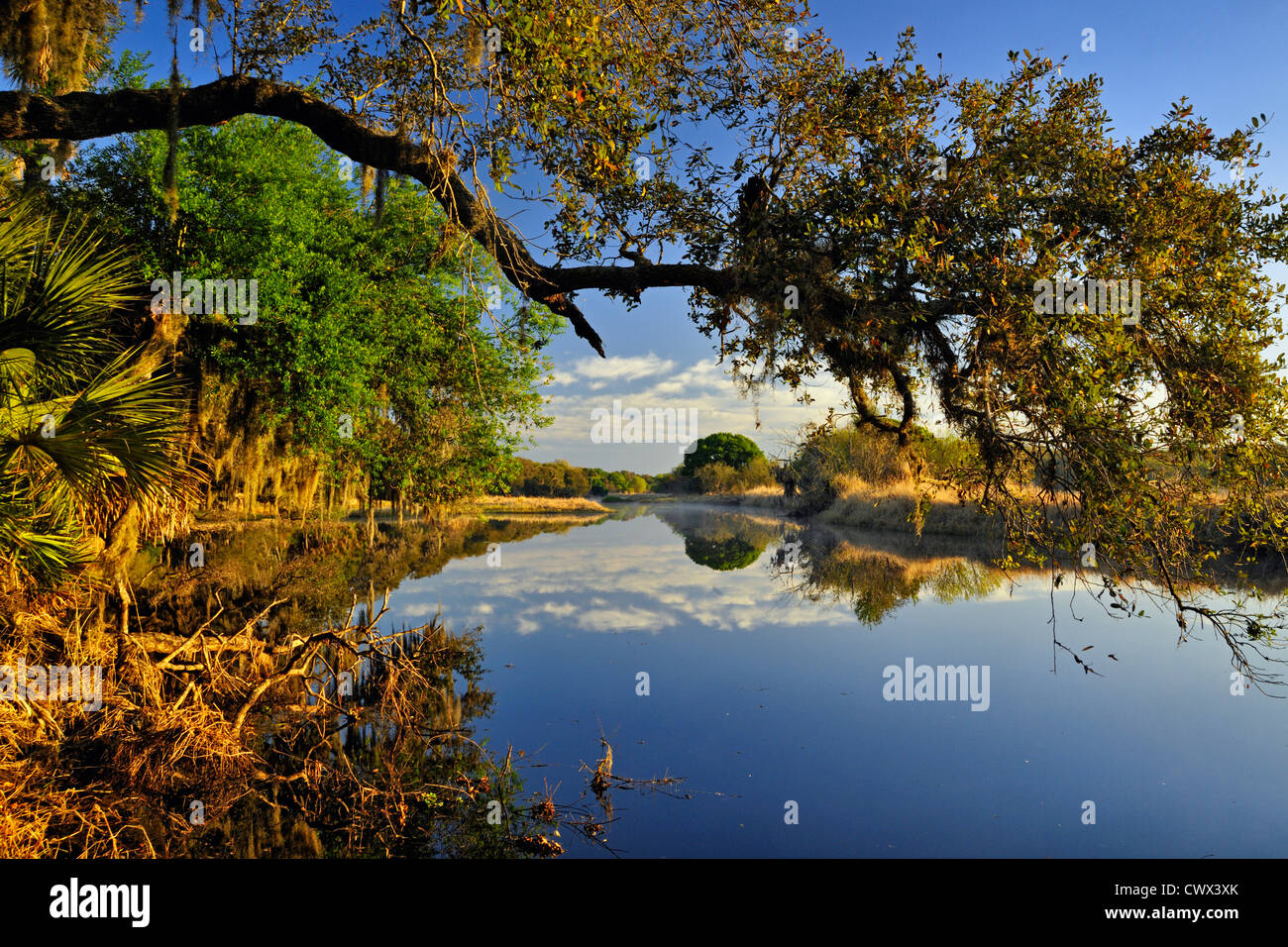 Myakka river hi-res stock photography and images - Alamy