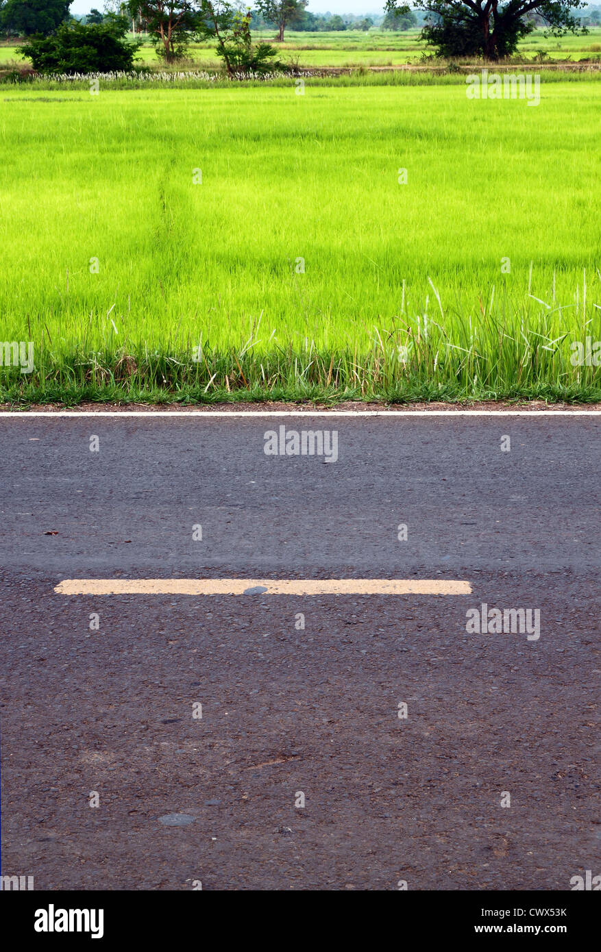 Backdrop countryside field road scenery hi-res stock photography and ...