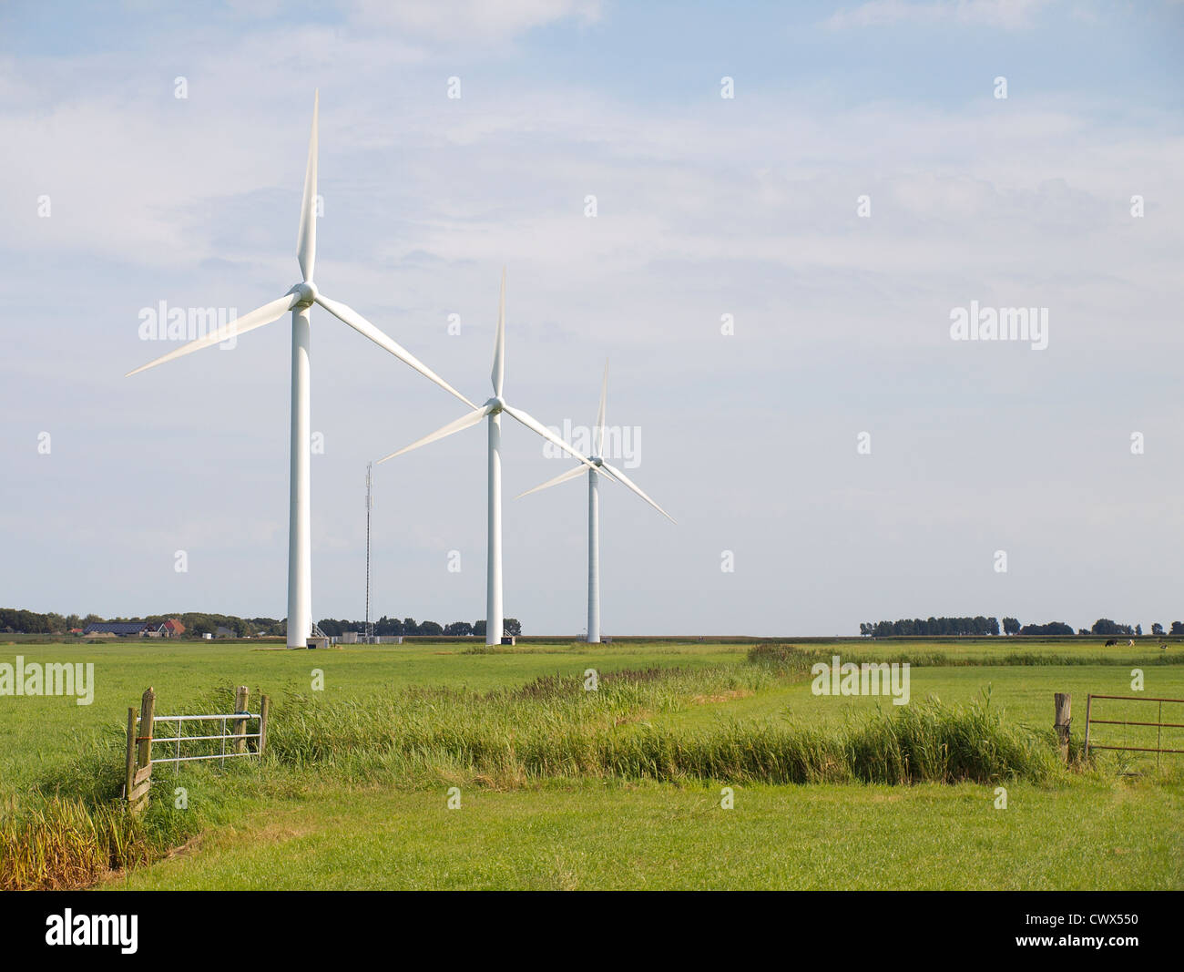 Wind turbines on Dutch farmland Stock Photo - Alamy