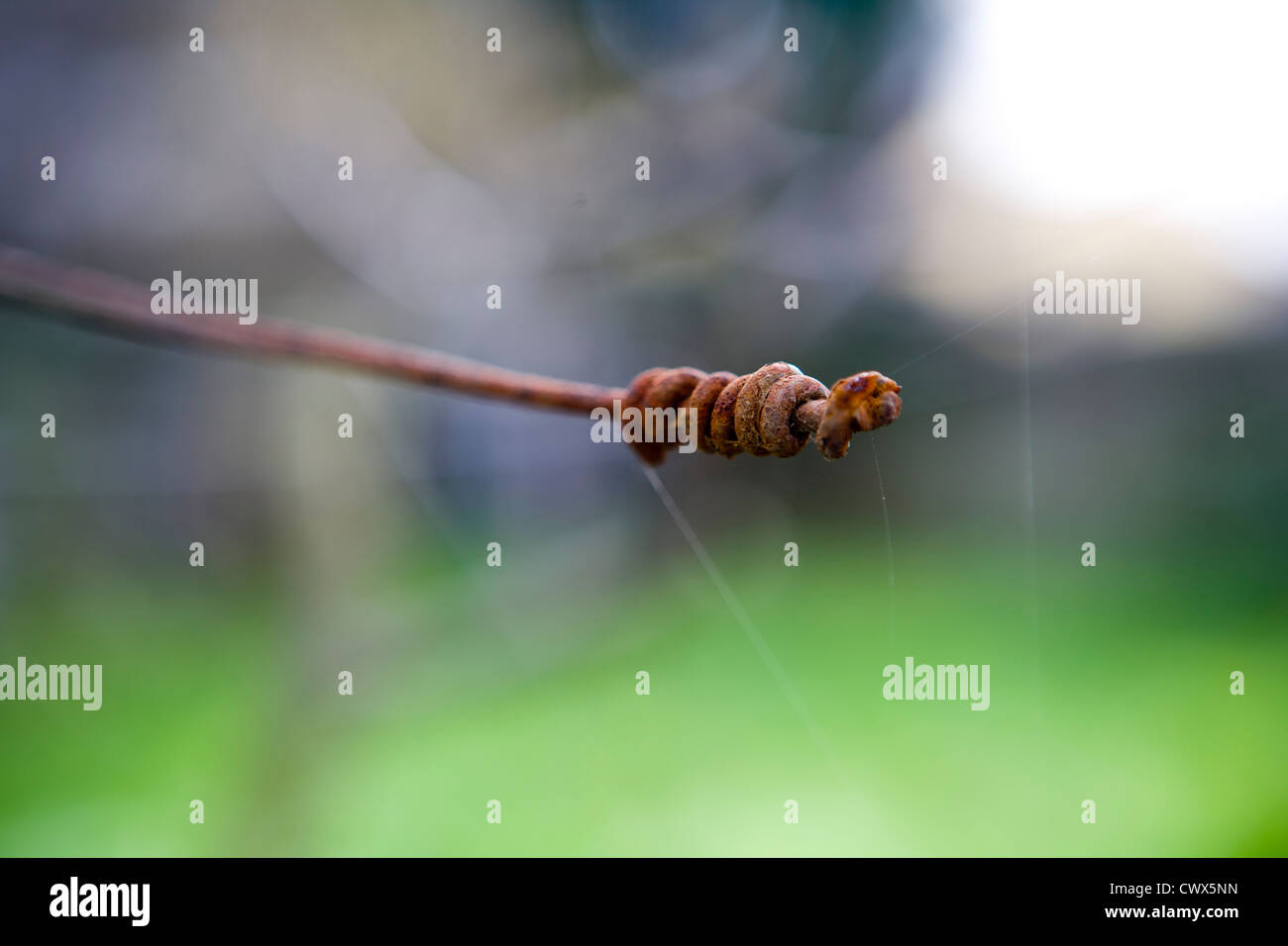 Damaged wire hi-res stock photography and images - Alamy